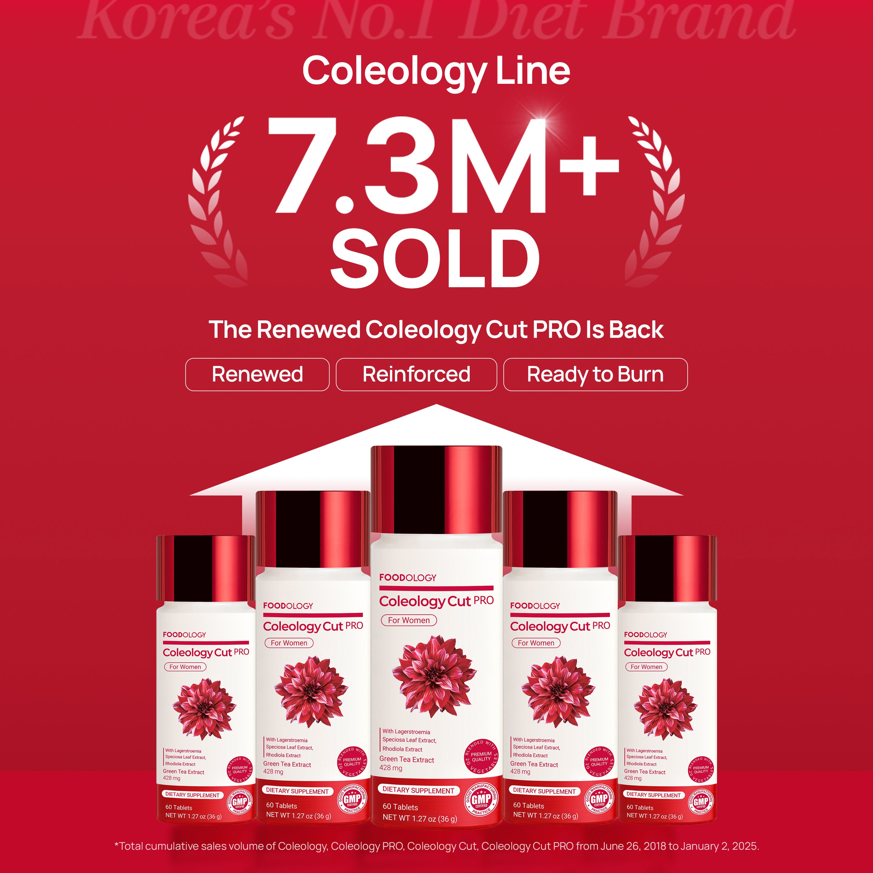 BEST SELLERS – FOODOLOGY