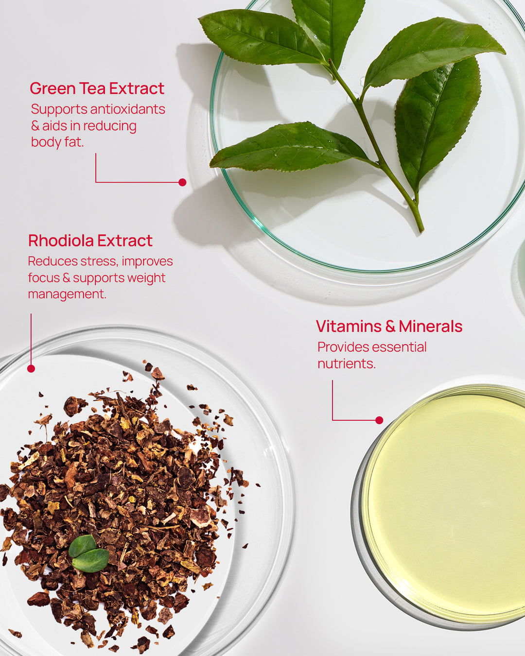 Best Sellers – FOODOLOGY