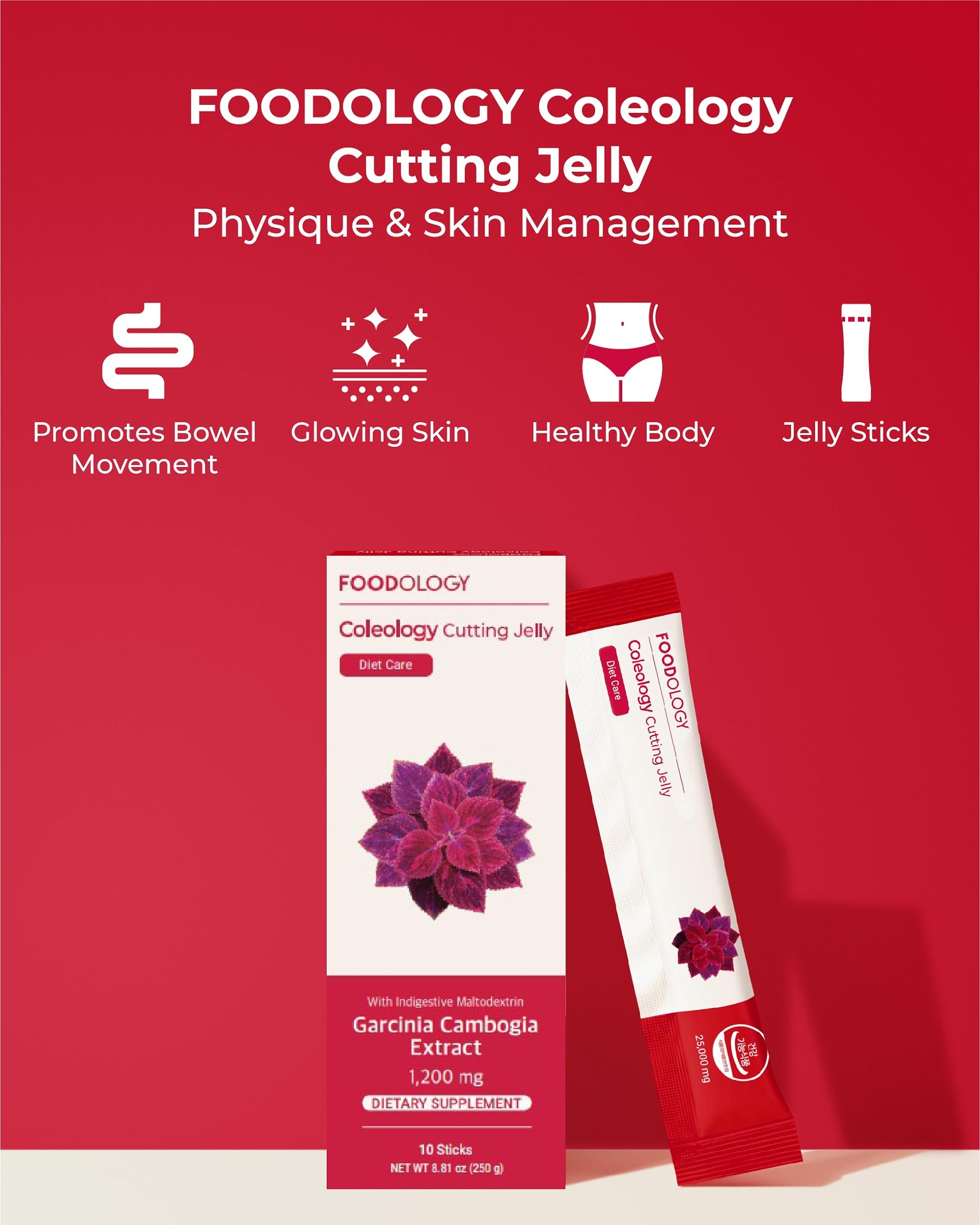 Coleology Cutting Jelly – FOODOLOGY