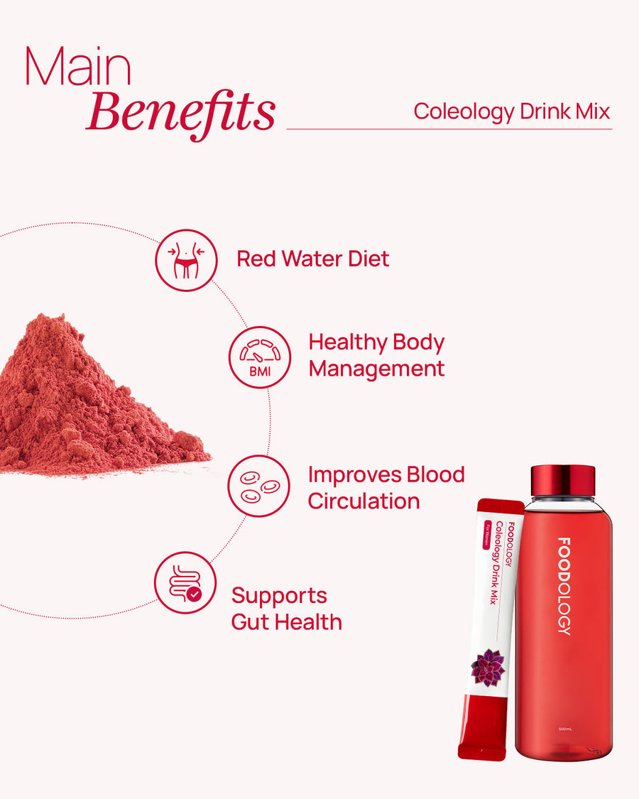 Best Sellers – FOODOLOGY