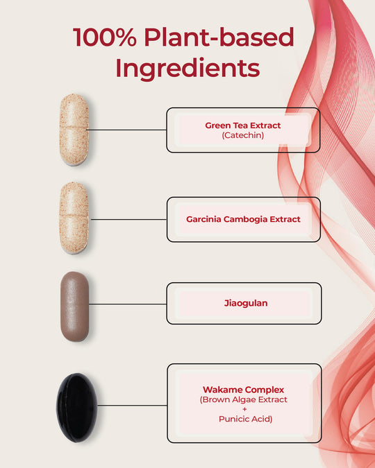 Products – FOODOLOGY