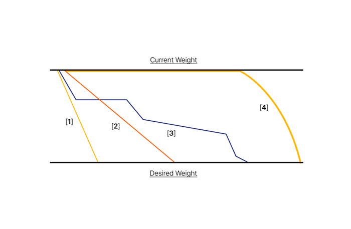About Us – FOODOLOGY